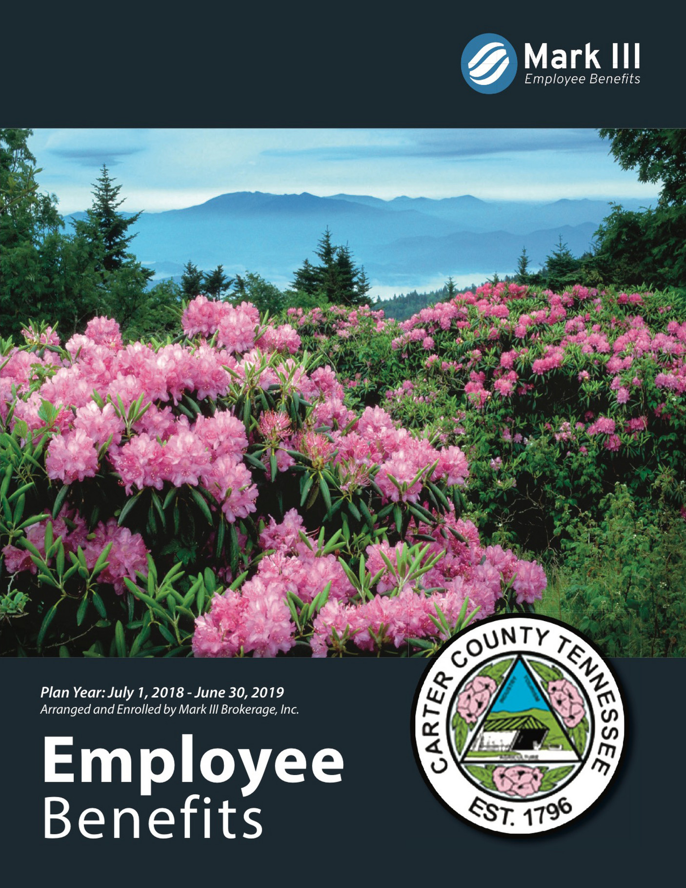 Publication - Carter County Benefits Booklet - Page 4-5 - Created with ...