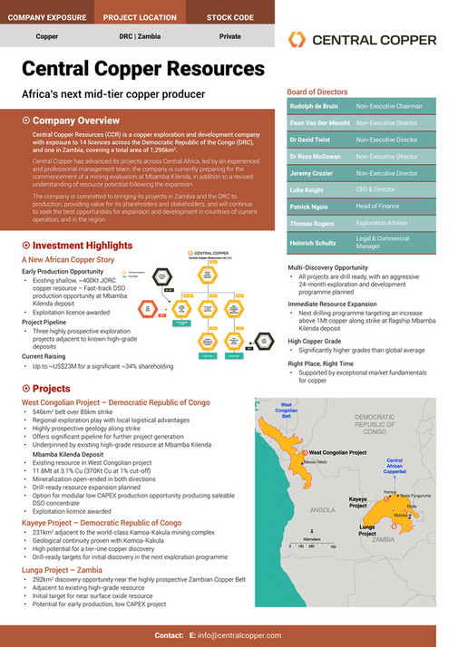 The Assay - central copper - Page 1