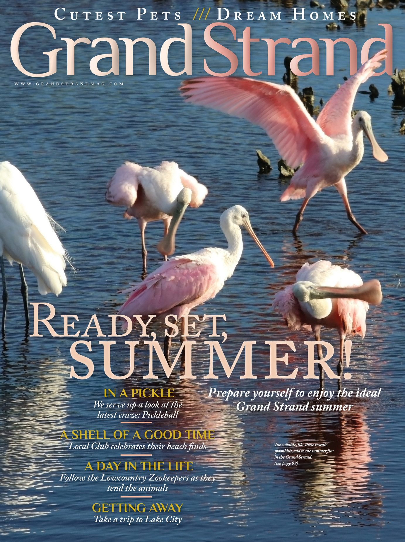 GULFSTREAM COMMUNICATIONS - Grand Strand Magazine -June/July 2023 ...
