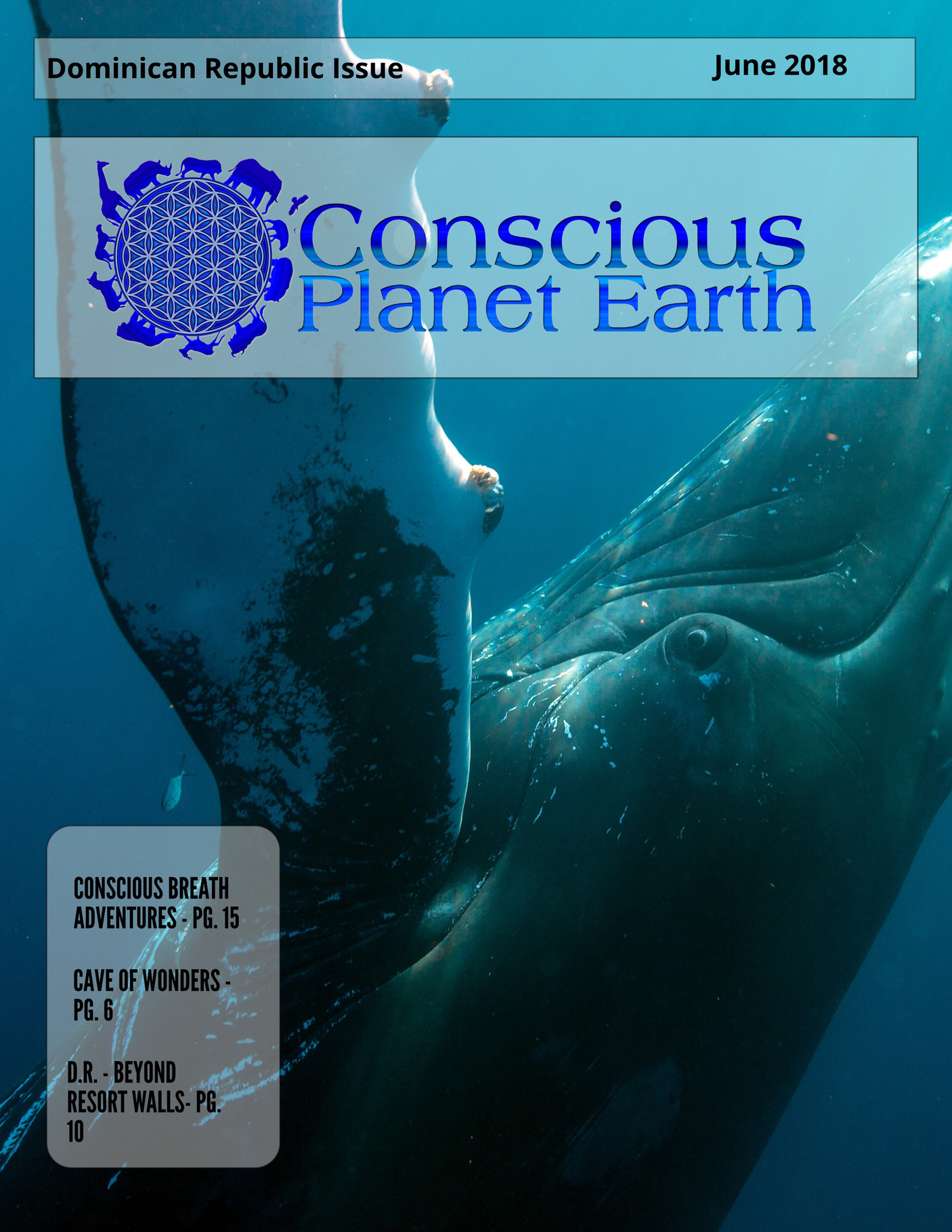 Conscious Planet Earth - June 2018 - Dominican Republic - Page 1 ...