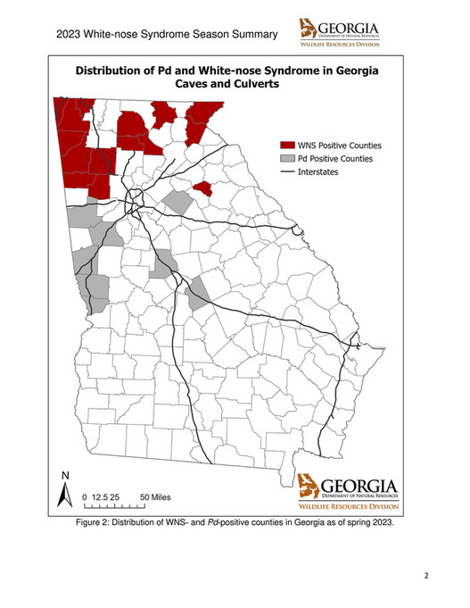 Georgia Department of Natural Resources - White-nose Syndrome in ...