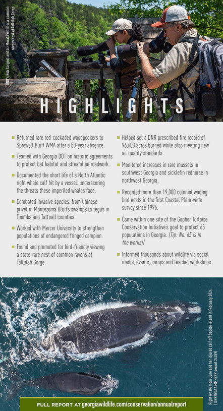 Georgia Department of Natural Resources - 2024 Georgia DNR Wildlife ...