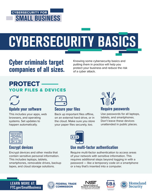 Pinnacle - CYBERSECURITY BASICS - Page 1