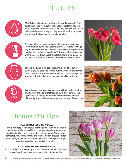 Koehler & Dramm Wholesale Florist - K&D Fresh Cut Flowers Care & Handling Guide - Page 18-19 ...