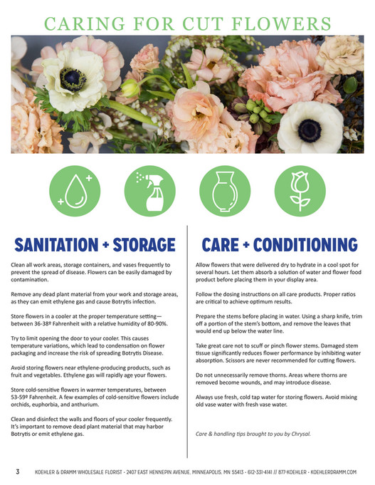 Koehler & Dramm Wholesale Florist - K&D Fresh Cut Flowers Care & Handling Guide - Page 4-5 ...