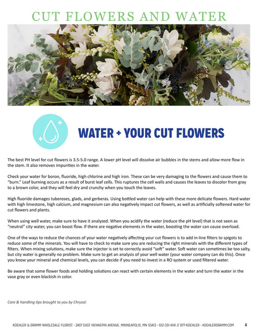 Koehler & Dramm Wholesale Florist - K&D Fresh Cut Flowers Care & Handling Guide - Page 4-5 ...