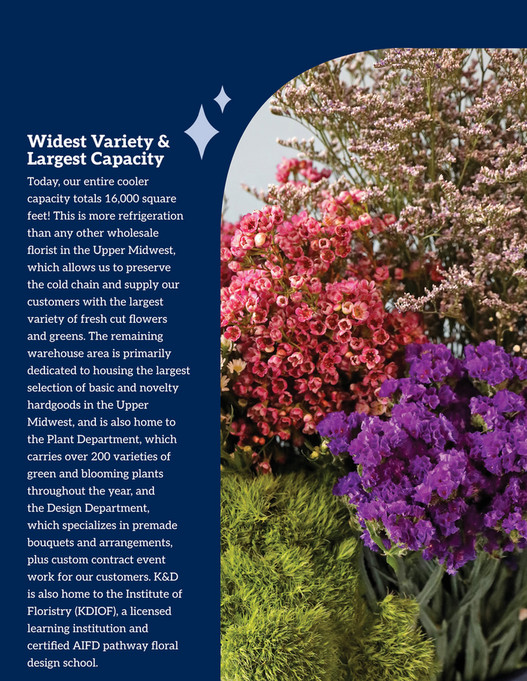 Koehler & Dramm Wholesale Florist - Everyday Catalog - Page 2-3 - Created with Publitas.com