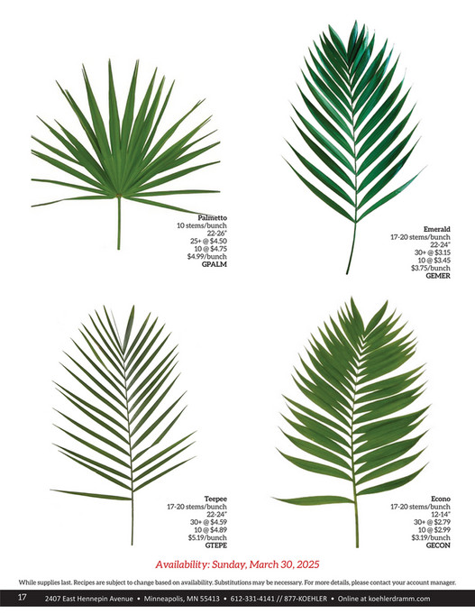 Koehler & Dramm Wholesale Florist - Spring 2025 Catalog - Page 16-17 - Created with Publitas.com