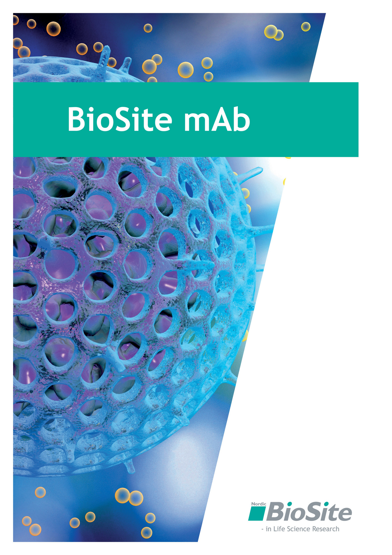 My publications - BioSite mAb - Page 1 - Created with Publitas.com