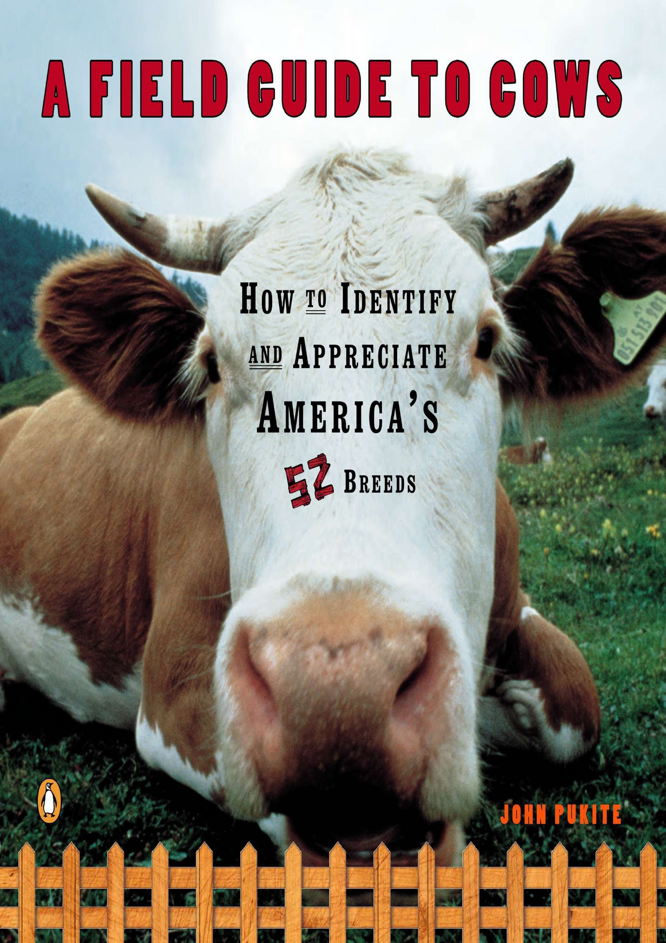 Eliz - EBOOK A Field Guide to Cows How to Identify and Appreciate ...