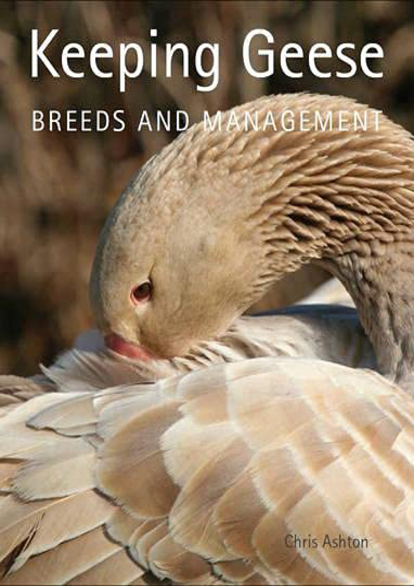 Eliz - READ Keeping Geese Breeds and Management - Page 1 - Created with ...
