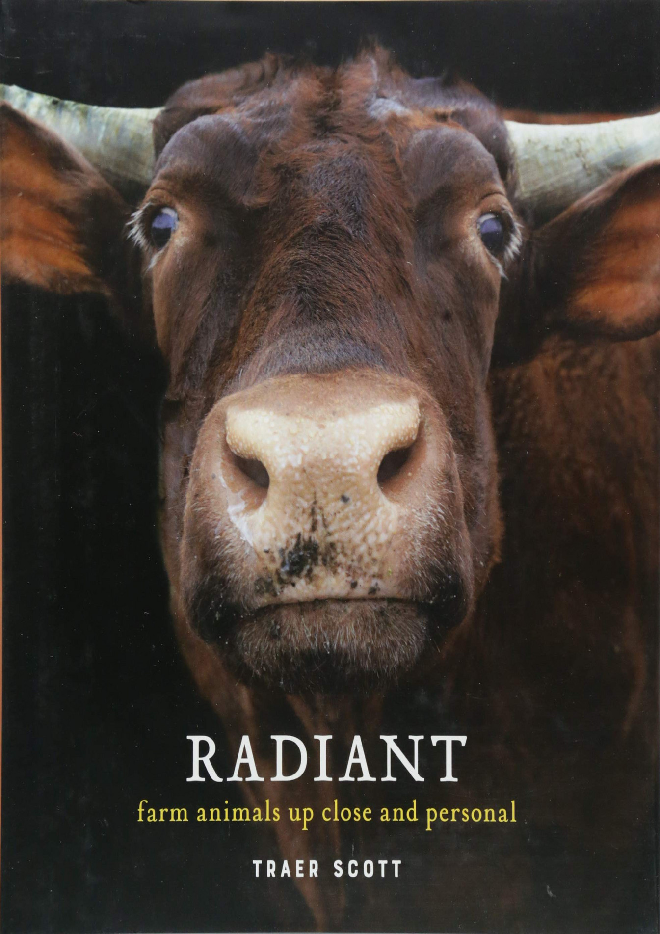 Eliz - READING Radiant Farm Animals Up Close and Personal Farm Animal ...