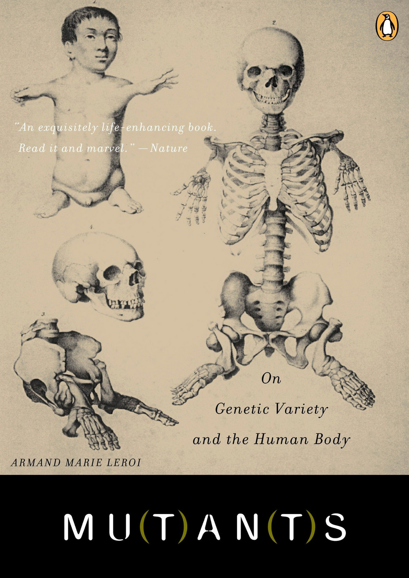 e-Book - BOOK Mutants On Genetic Variety and the Human Body - Page 1 ...