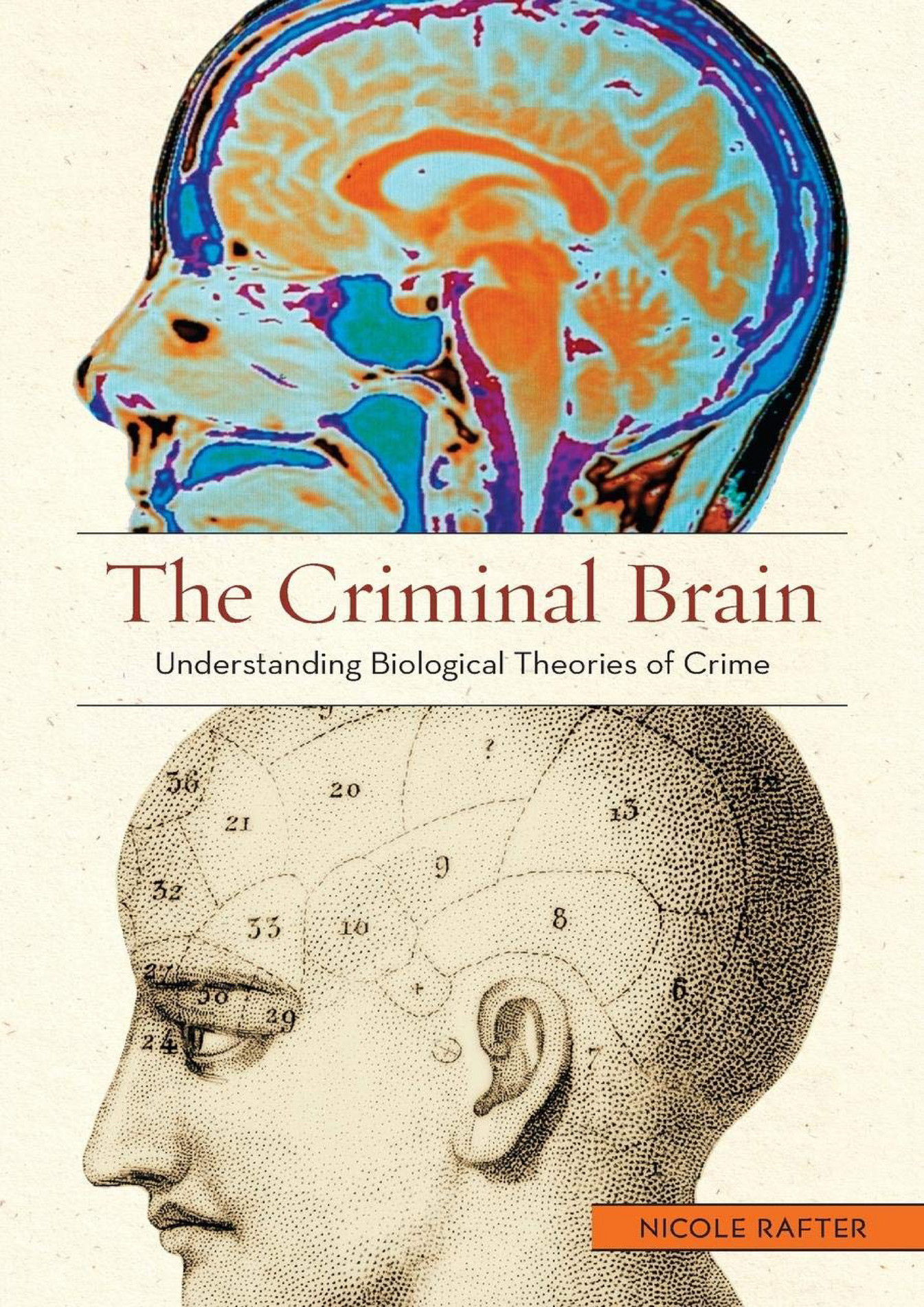 e-Book - BOOK The Criminal Brain Understanding Biological Theories of ...