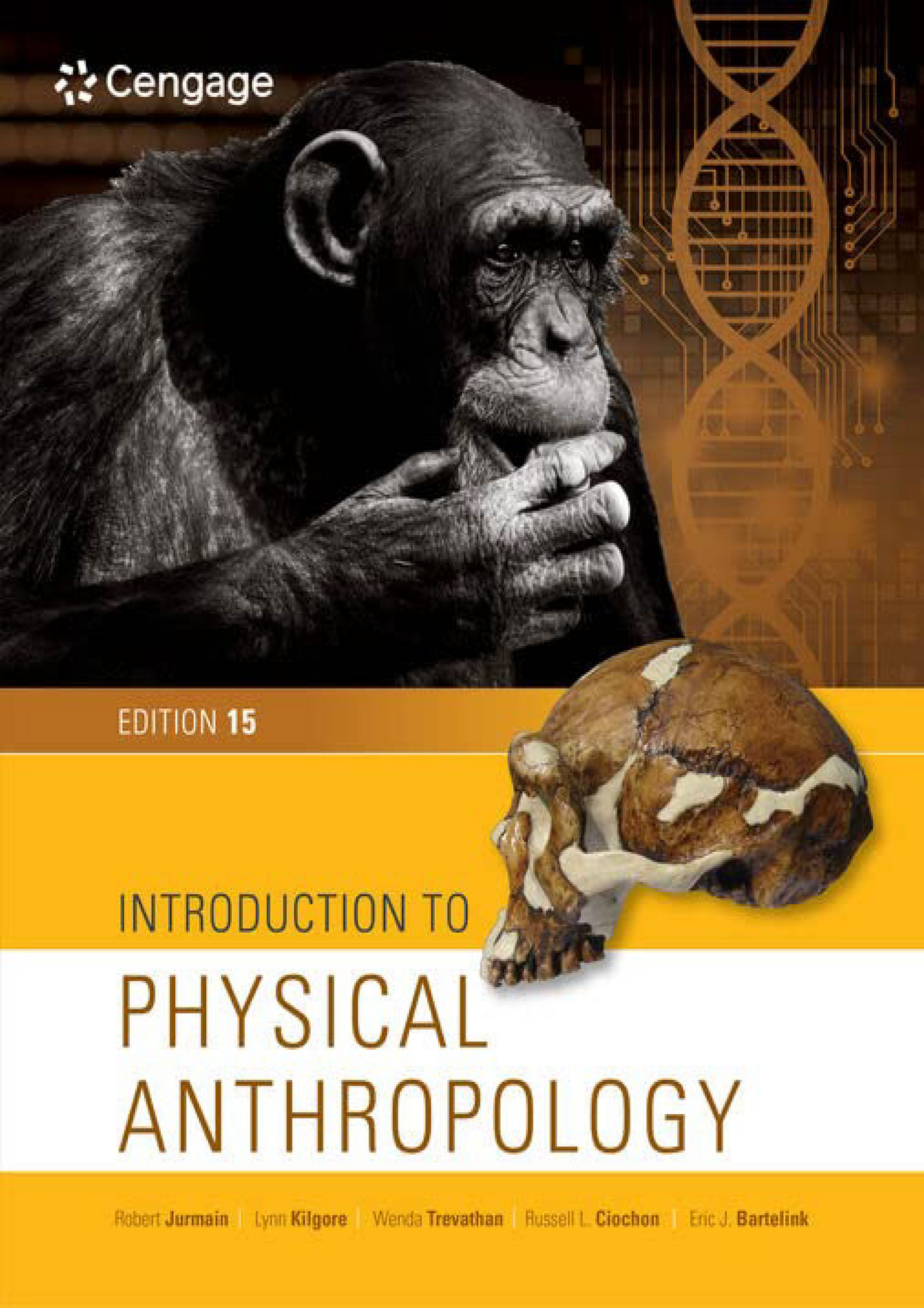 e-Book - EBOOK Introduction to Physical Anthropology - Page 2 - Created ...