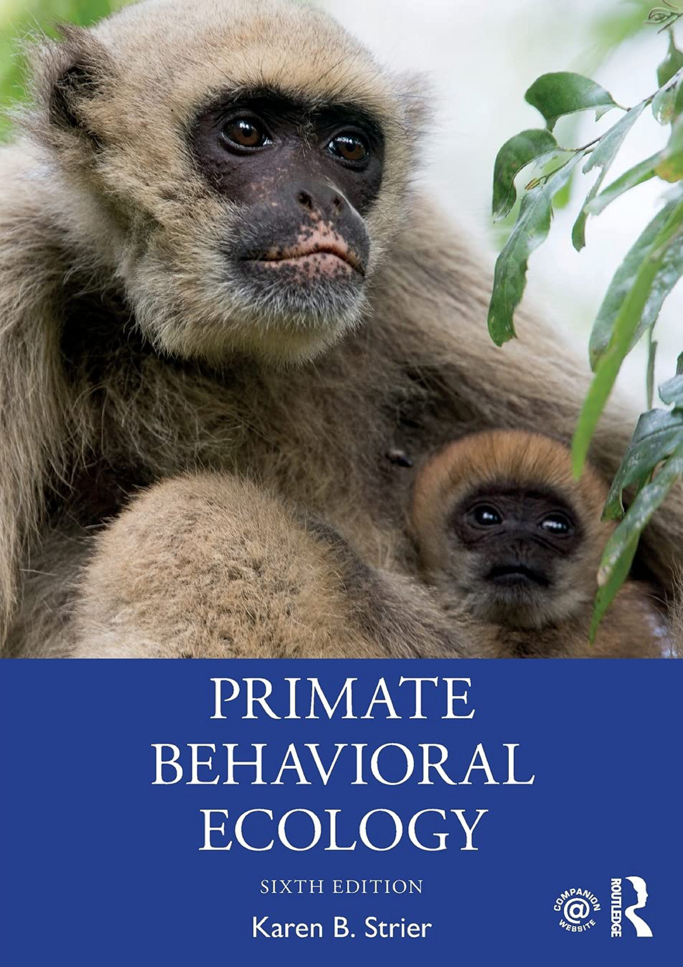 Rico - EBOOK Primate Behavioral Ecology - Page 1 - Created with ...