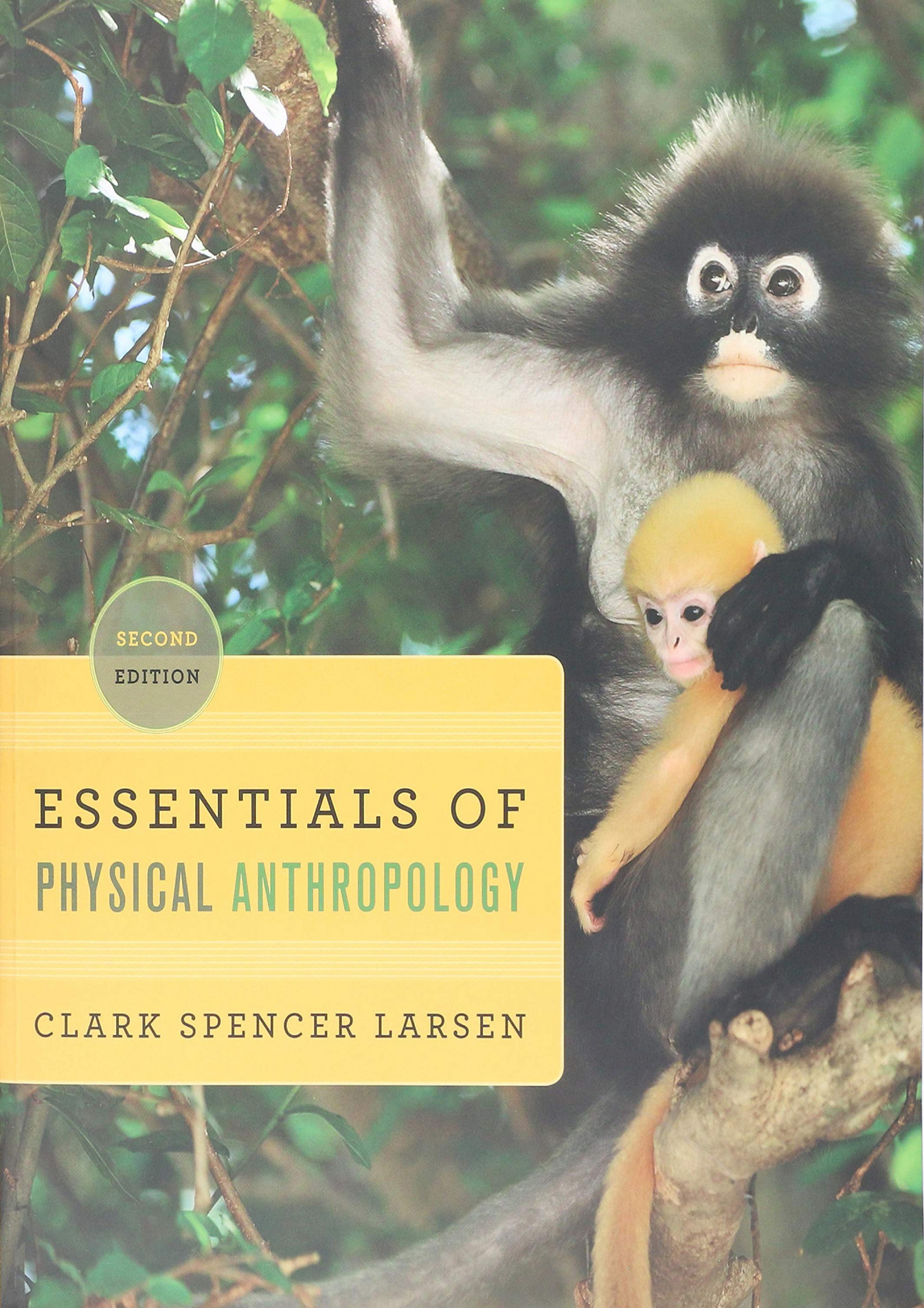 Rico - READ Essentials of Physical Anthropology Discovering Our Origins ... Rico - READ Essentials of Physical Anthropology Discovering Our Origins ...
