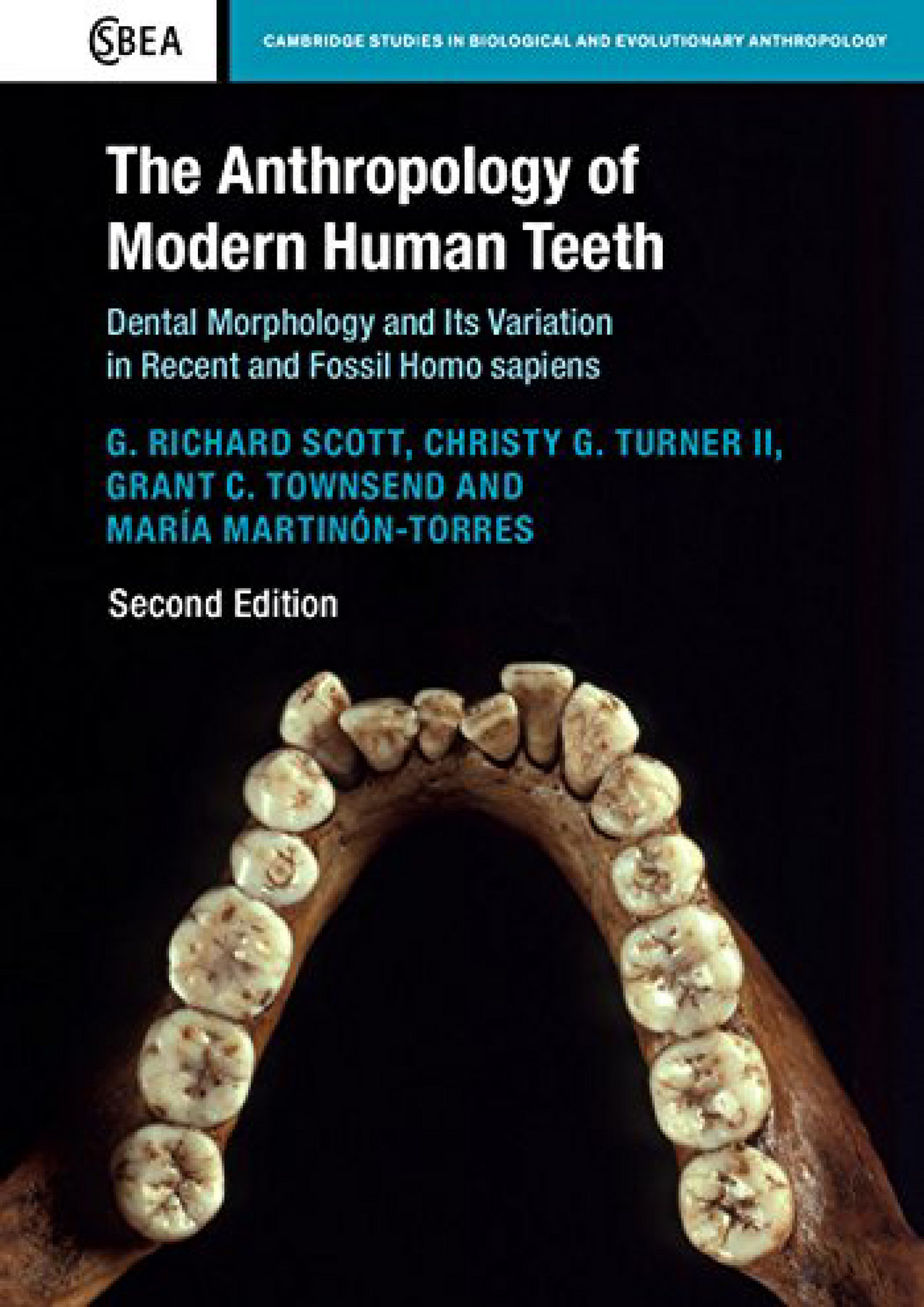 Rico - READ The Anthropology of Modern Human Teeth Dental Morphology ...