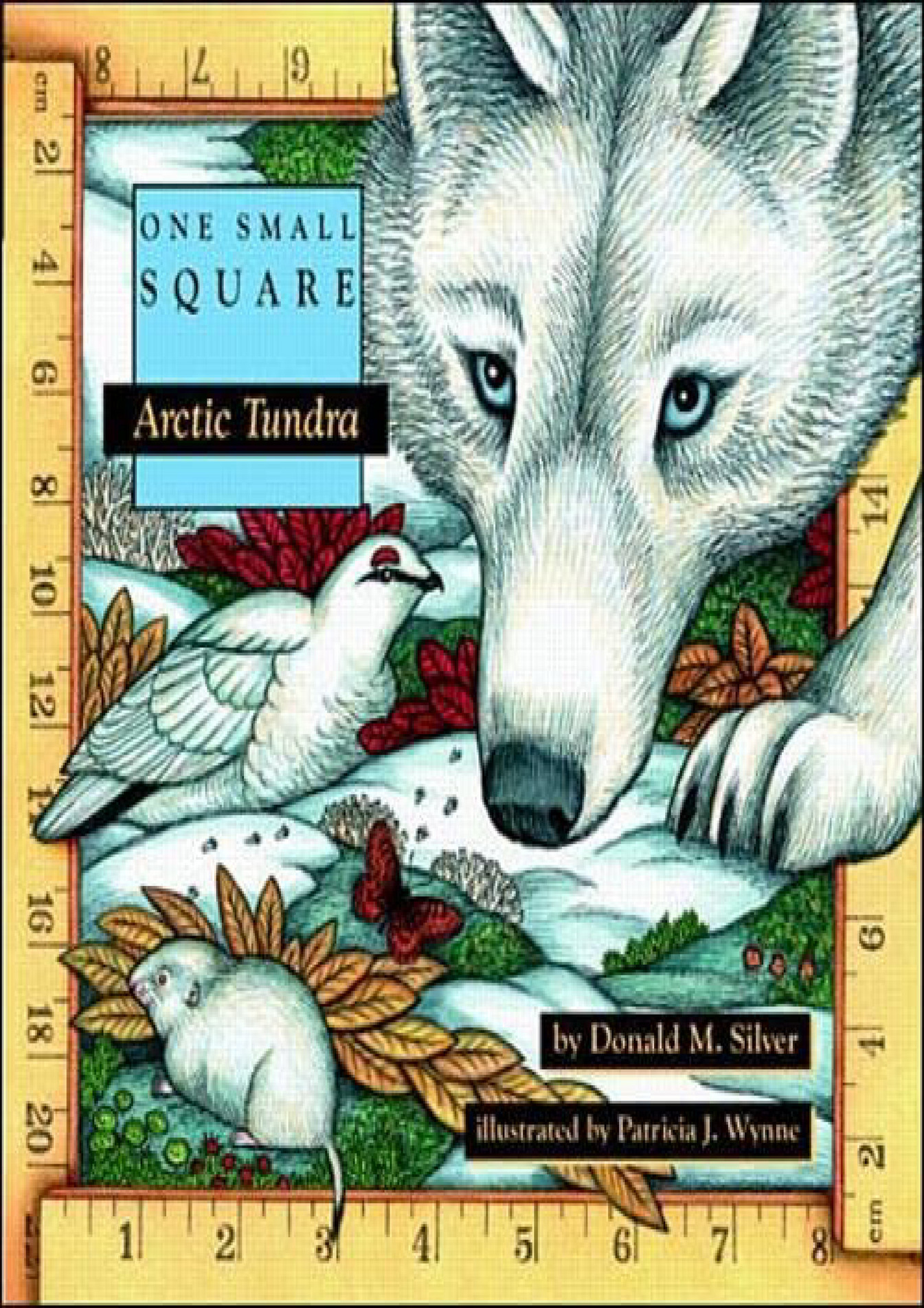 Buis - BOOK Arctic Tundra - Page 1 - Created with Publitas.com