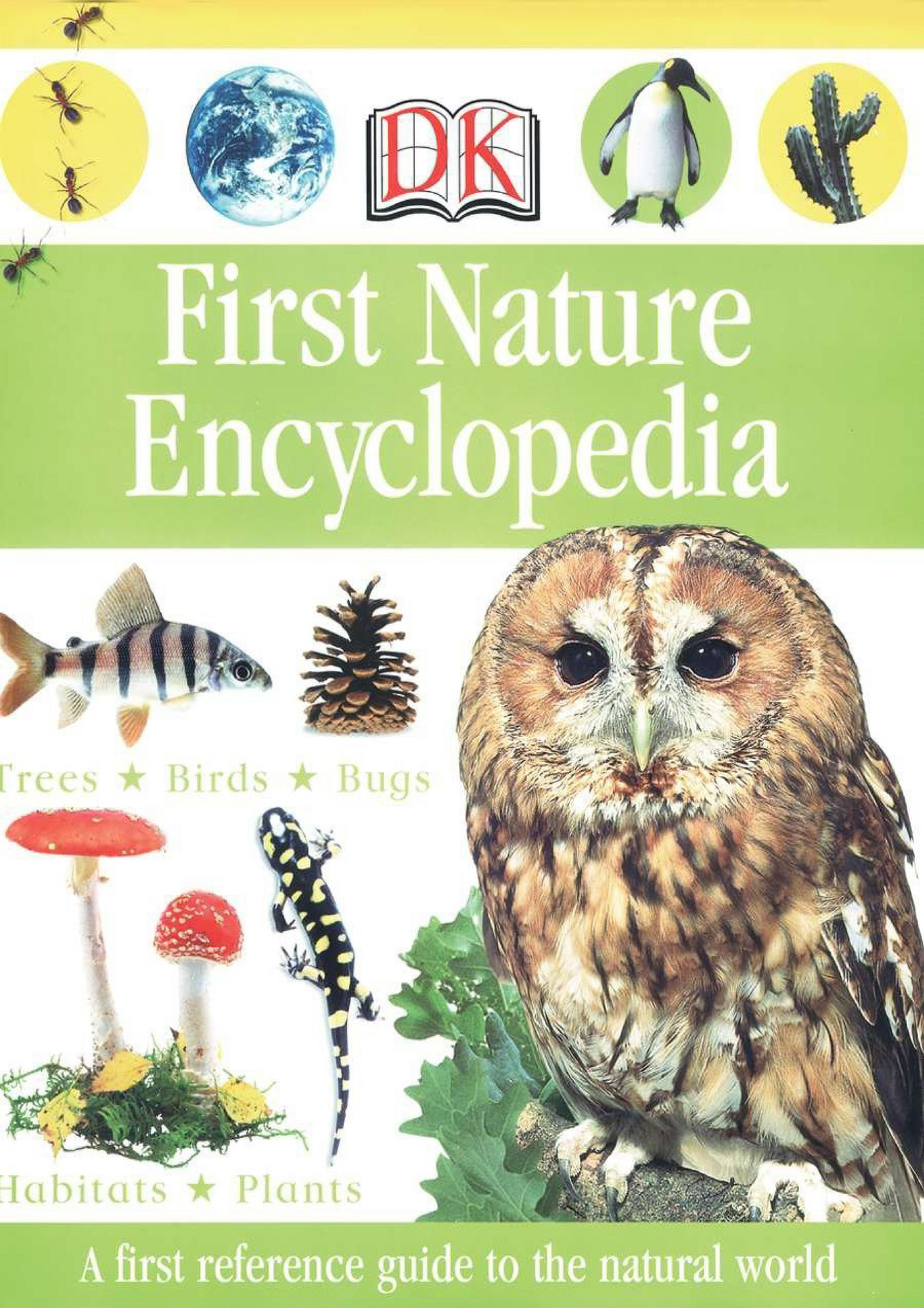 Buis - BOOK First Nature Encyclopedia DK First Reference - Page 1 ...