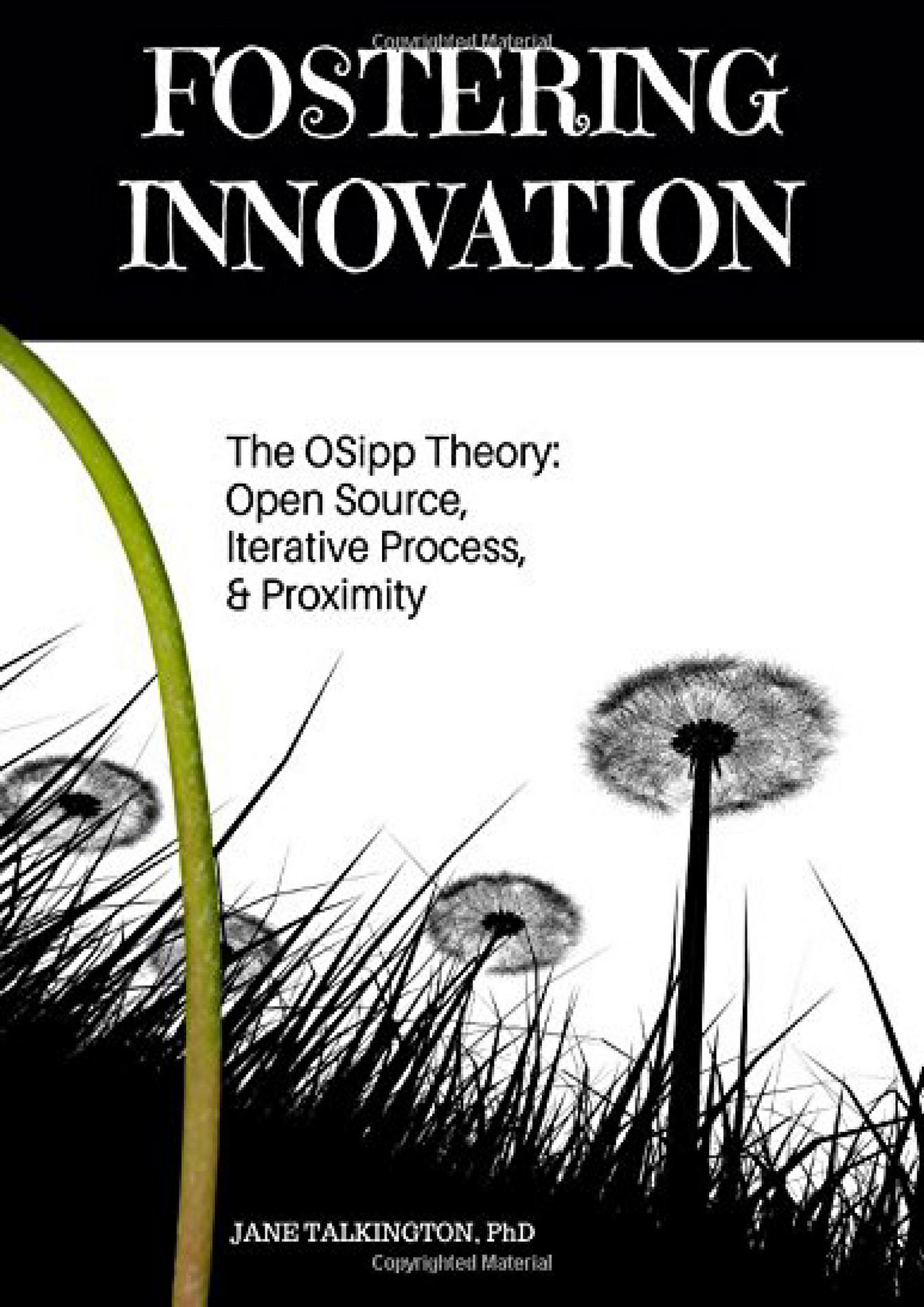 Buis Download Fostering Innovation The Osipp Theory Open Source Iterative Process Page 1