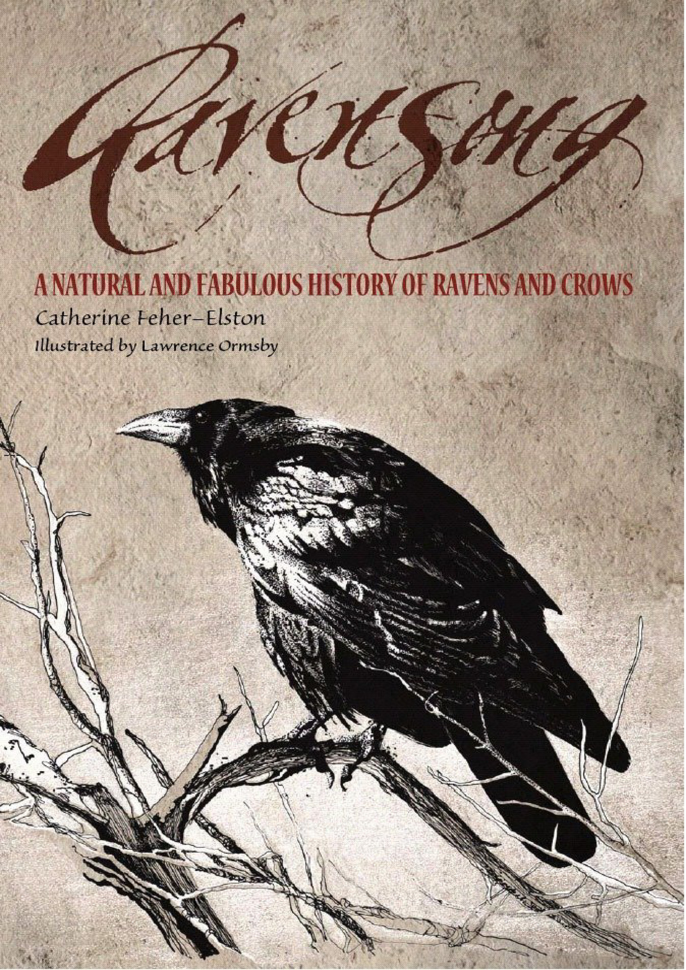 Steven - READ Ravensong A Natural And Fabulous History Of Ravens And ...
