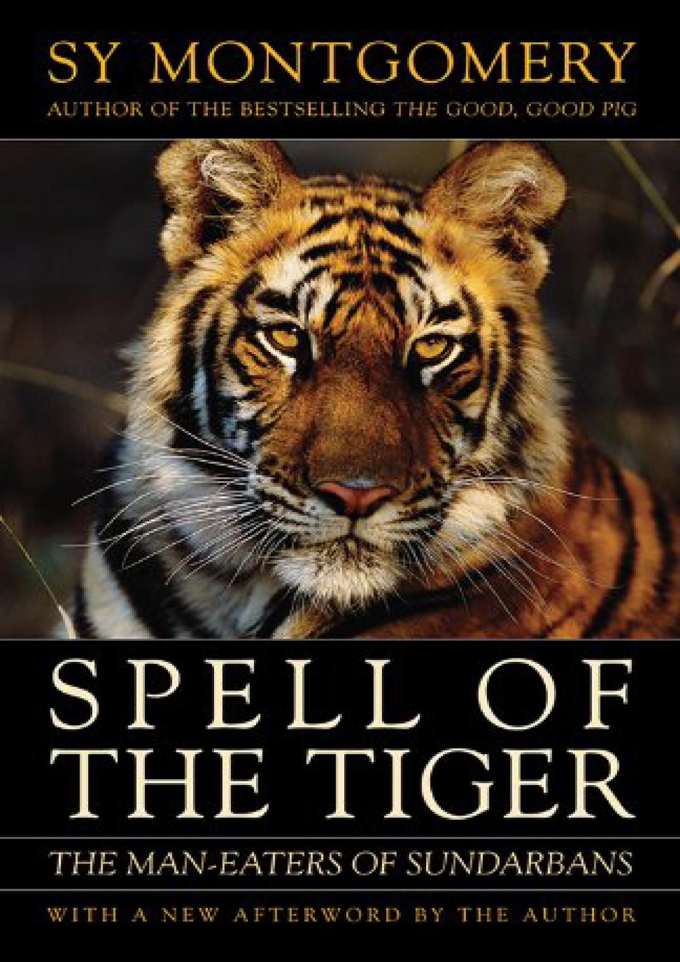Steven - READ Spell of the Tiger The Man Eaters of Sundarbans - Page 1 ...
