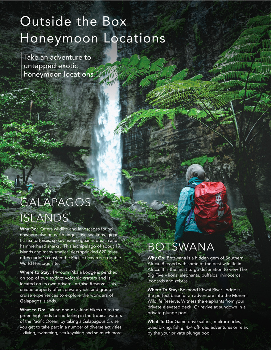 Honeymoon Brochures