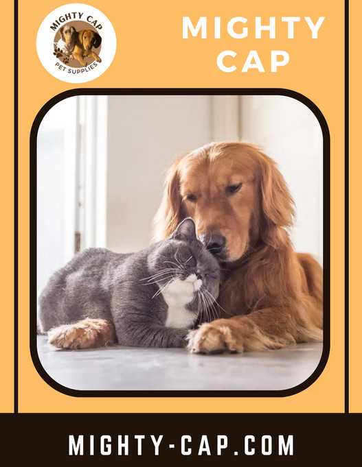 webmarketing - Mighty-cap.com_Emagazine - Page 1 - Created with ...