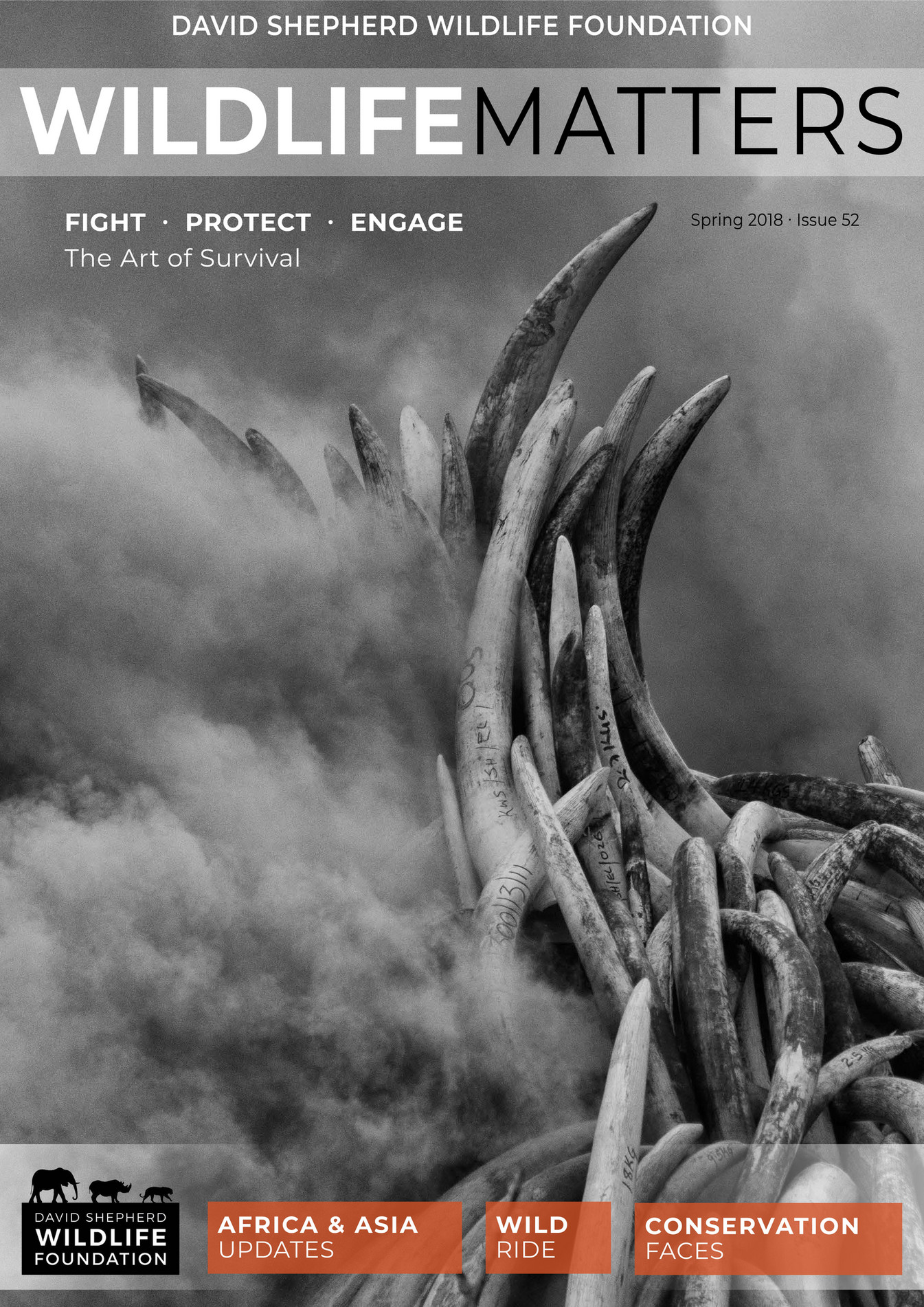 My publications - Wildlife Matters - Issue 52 - Page 1 - Created with ...