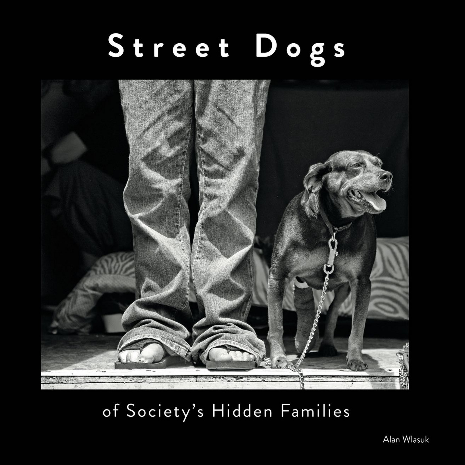 Dog Land Photography - Street Dogs - April Proof Version - Page 1 ...
