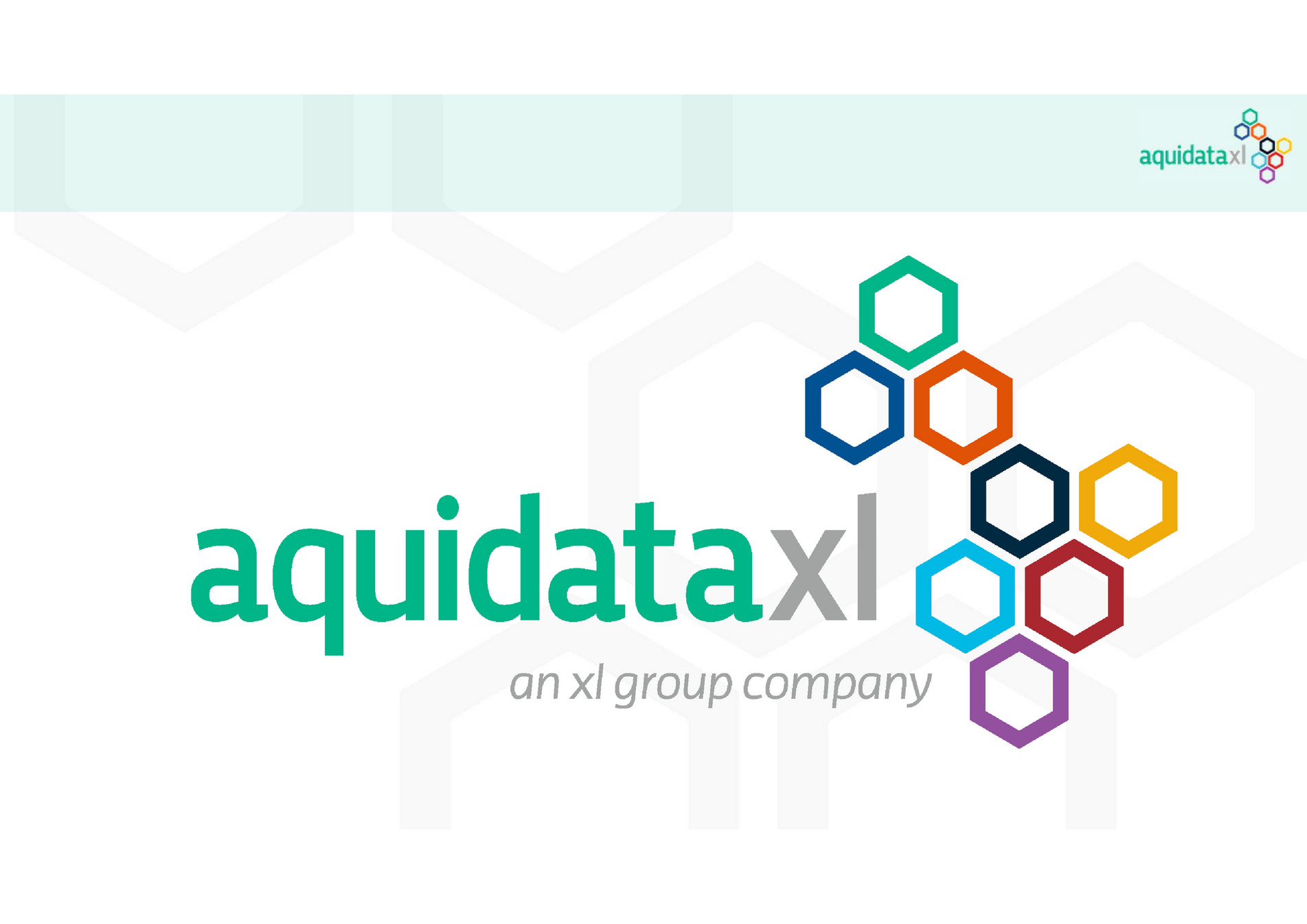 XL Global Group - Aquidata Capabilities - Page 1 - Created with ...