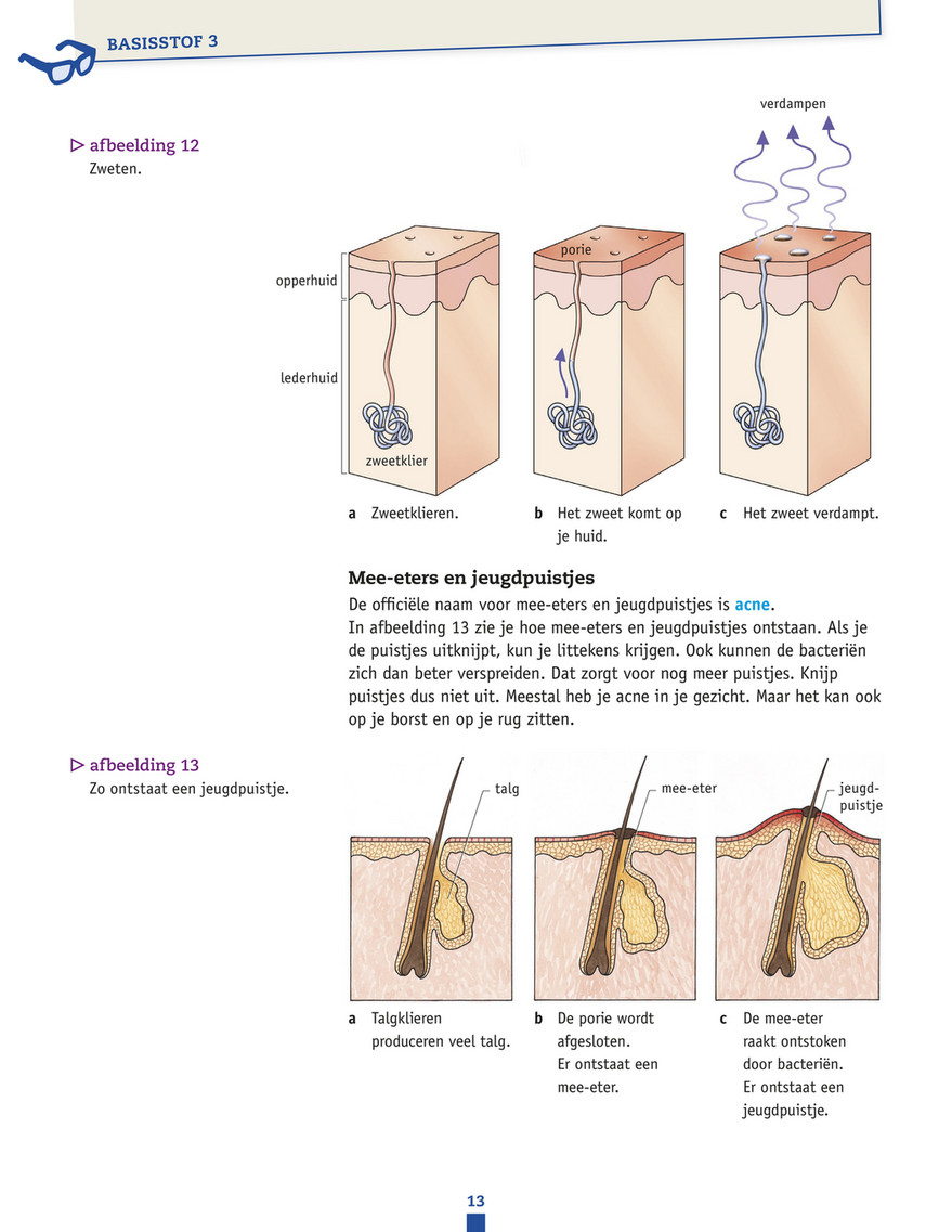 Zweetklieren En Talgklieren Acne Op De Bikinilijn | Laserkliniek