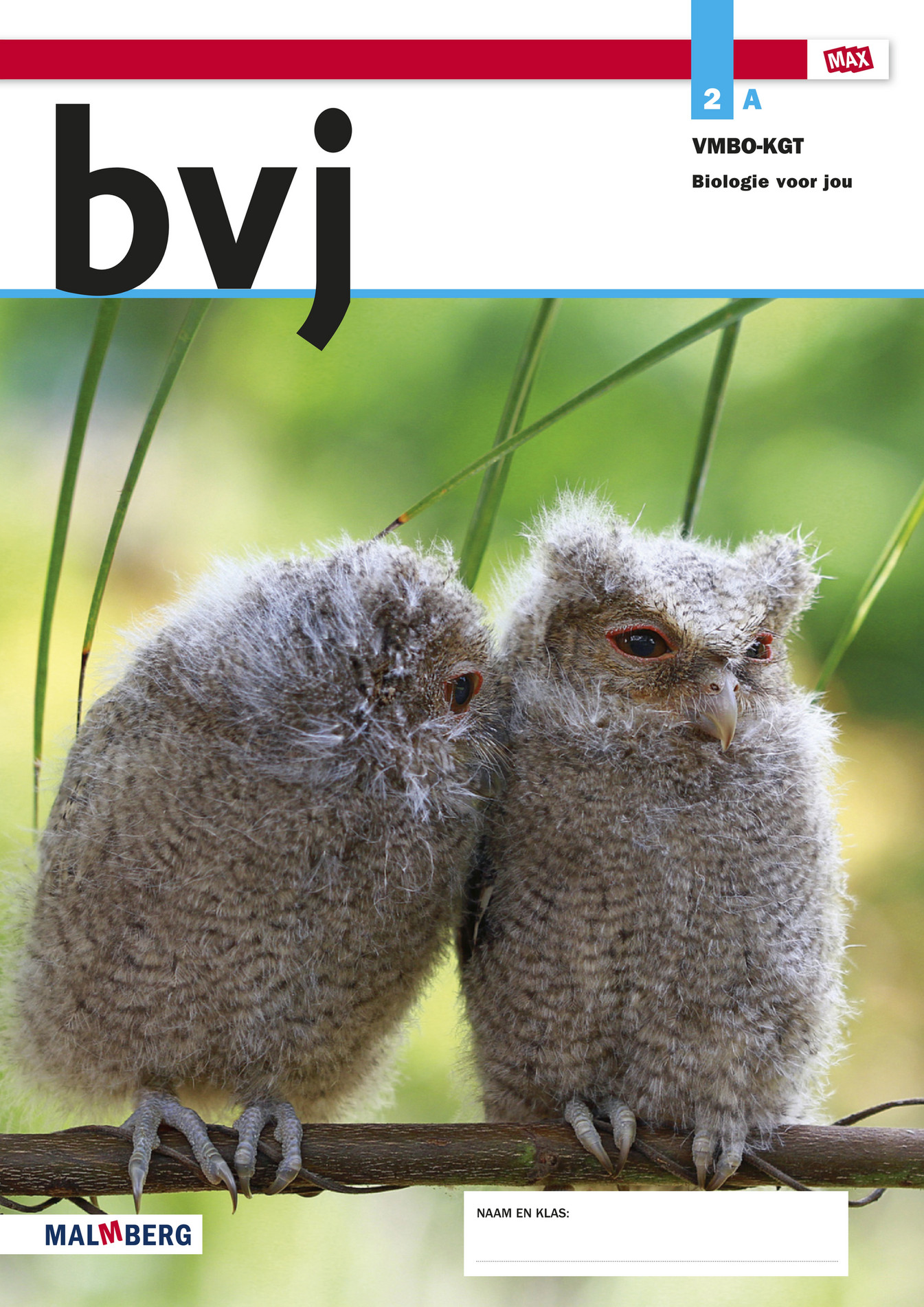 Malmberg - 598769-01_BVJ_2KGT_LWB_A_Bladerboek - Pagina 38-39 Malmberg - 598769-01_BVJ_2KGT_LWB_A_Bladerboek - Pagina 38-39