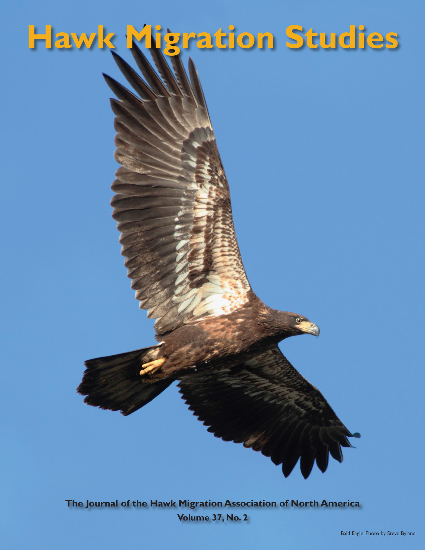 HMANA - Hawk Migration Studies Vol. 37, No 2 - Page 1