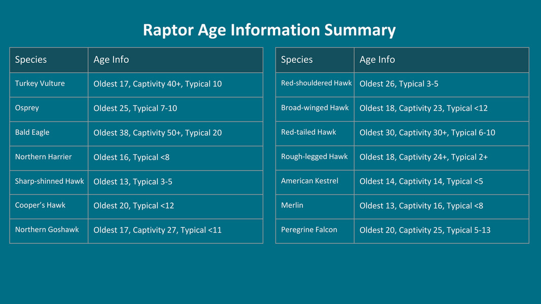 HMANA - HMANA Raptor ID and Hawk Migration - Page 153