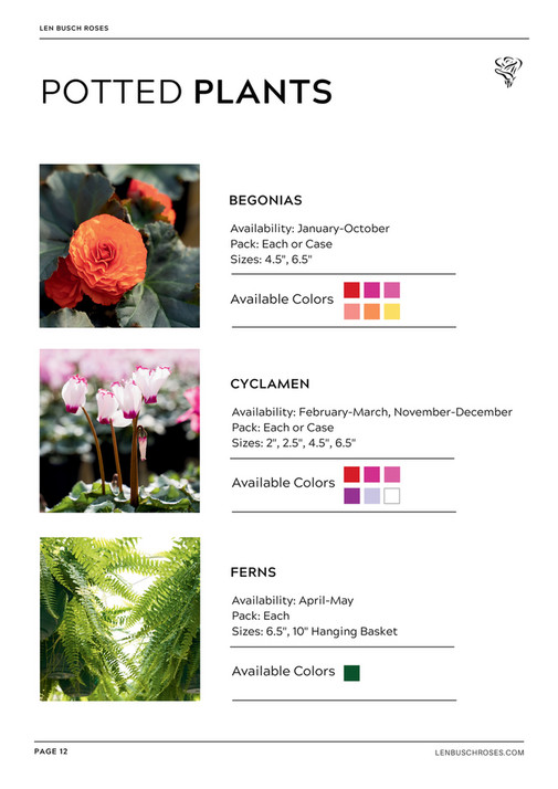 Len Busch Roses - LBR Grown Look Book 2024 - Page 14-15