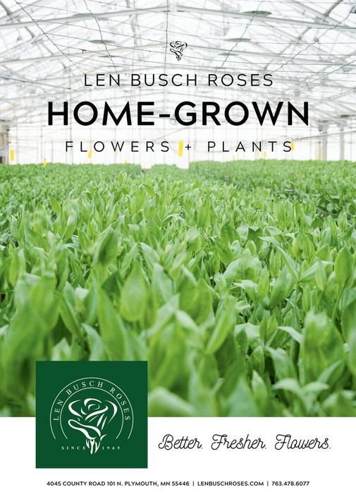 Len Busch Roses - LBR Grown Look Book 2024 - Page 1