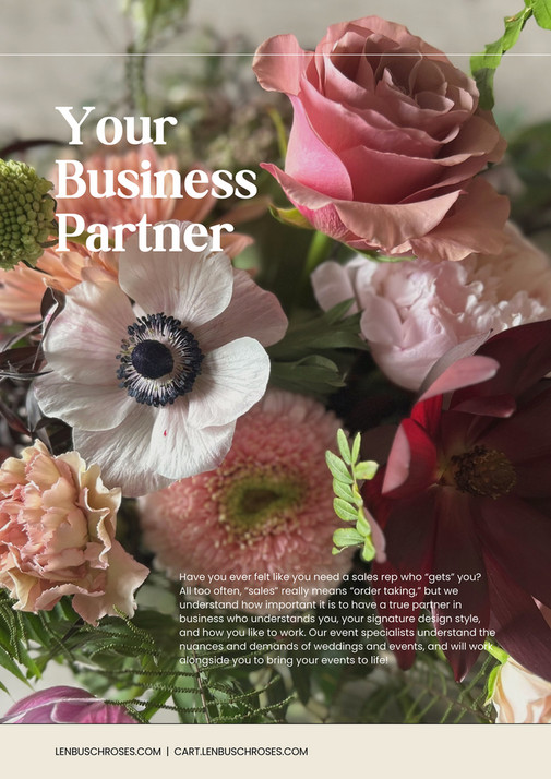 Len Busch Roses - LBR Bloom With Us! - Page 2-3