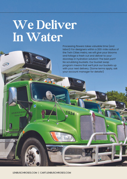 Len Busch Roses - LBR Bloom With Us! - Page 6-7