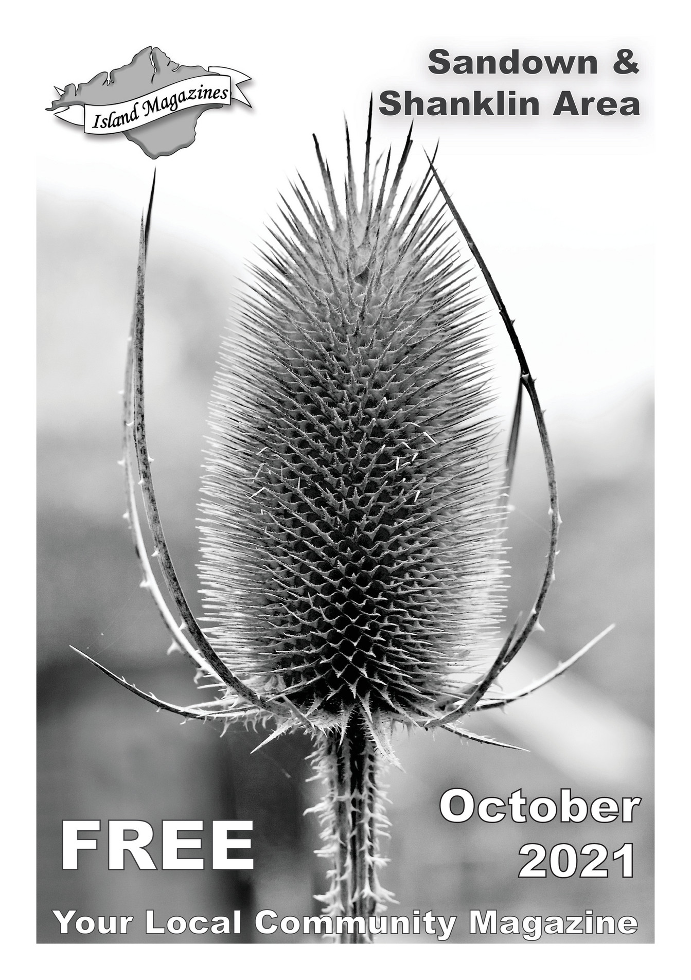 Island Magazines - Island Magazines October 21 Sandown & Shanklin Area ...
