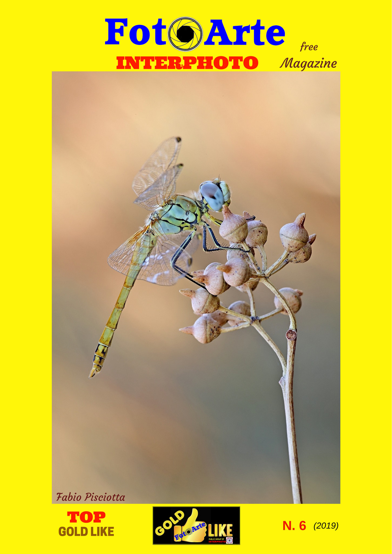 Interphoto International Photography - FOTOARTE-INTERPHOTO 06_2019 ...