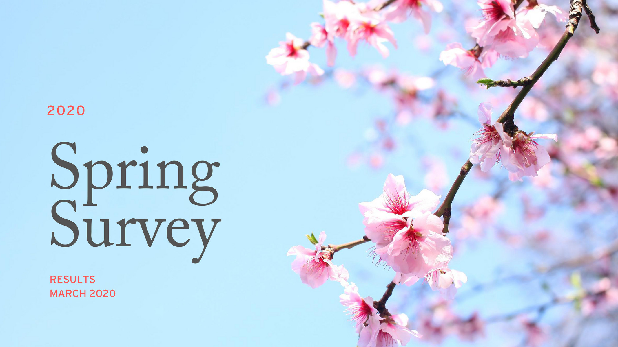 Chairish - 2020 Spring Survey Results - Page 1 - Created with Publitas.com