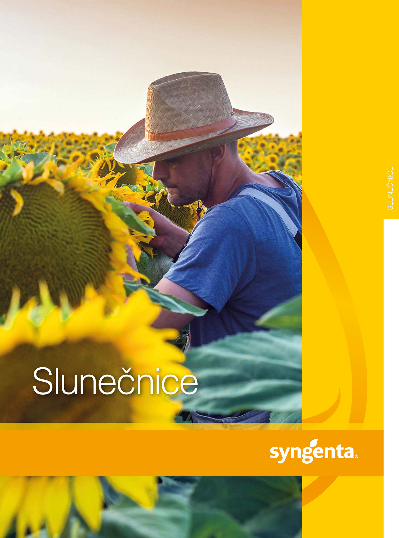 Syngenta - Slunečnice 2021 - Strana 1