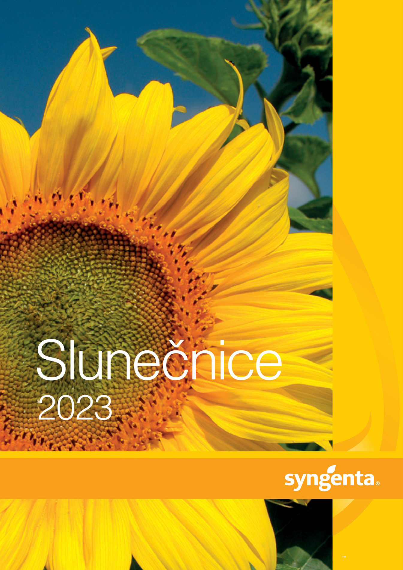 Syngenta - Syngenta katalog slunečnice 2023 - Strana 16