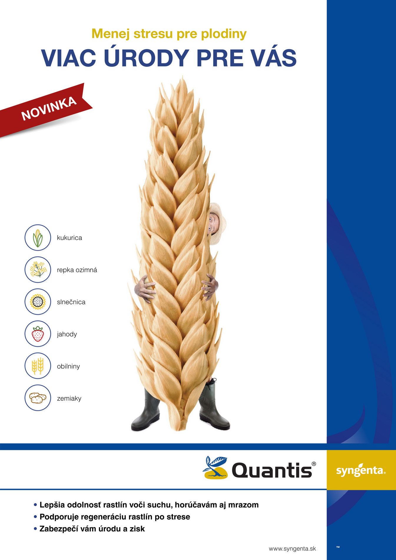 Syngenta - Syngenta SK Quantis leták obilniny A4 - Strana 1