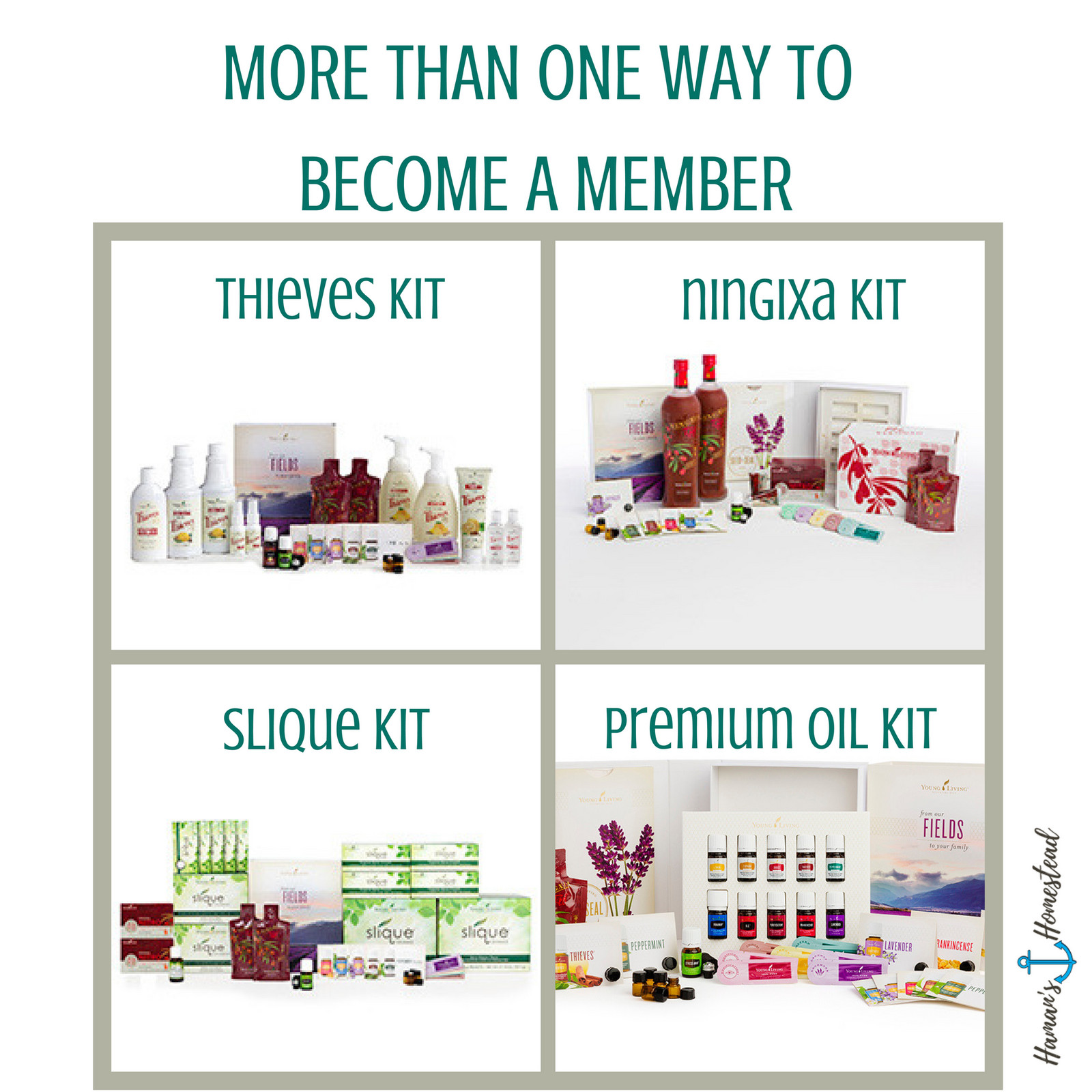 Haman's Homestead - Young Living Premium Starter Kits - Page 1 ...
