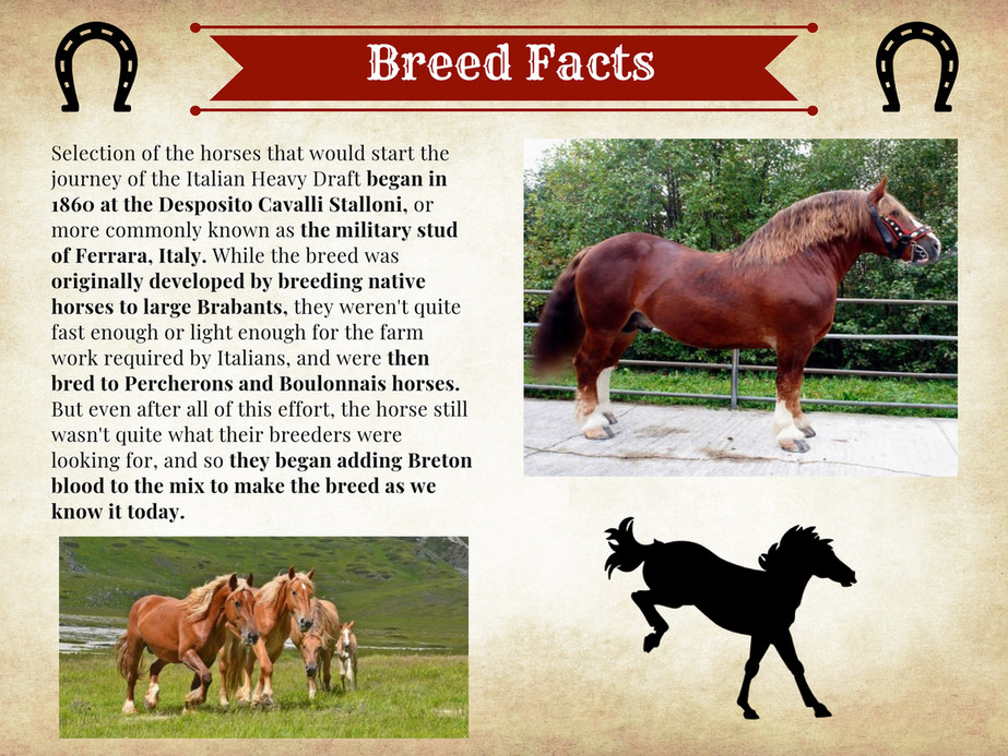 Ranch n' Craft Round Up - Volume 39 - Page 5 - Created with Publitas.com