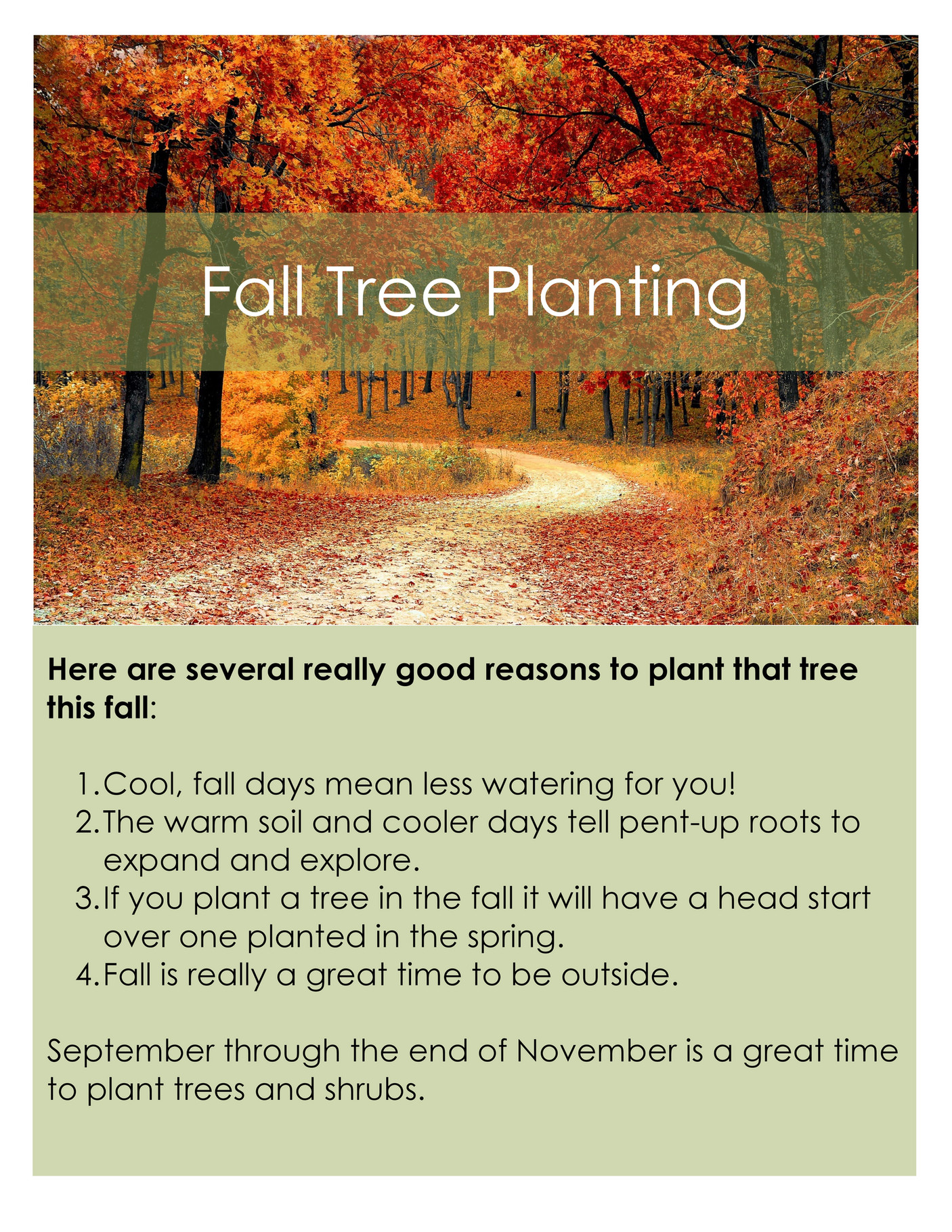 Sunny Meadows - Fall Tree Planting - Page 1 - Created with Publitas.com