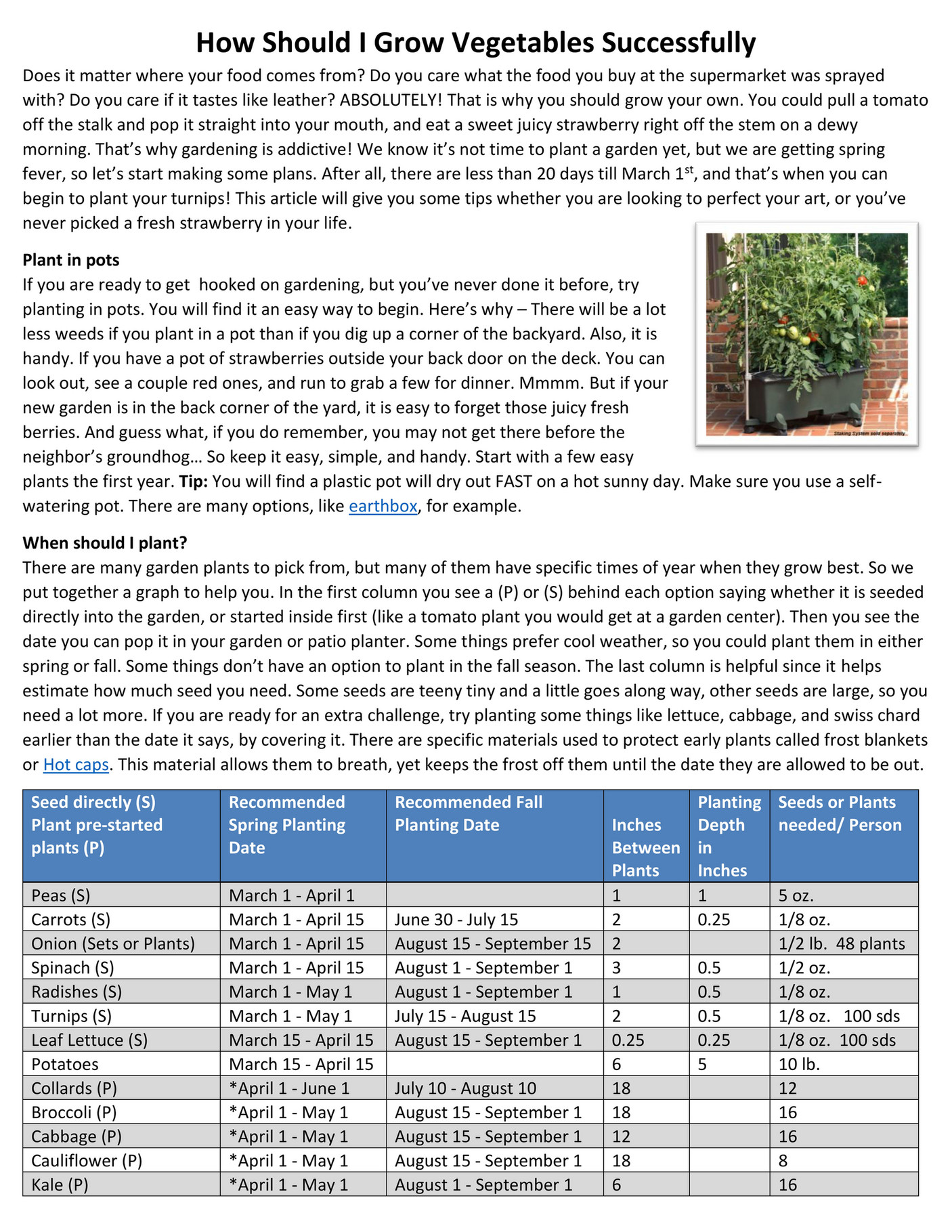 Sunny Meadows - How Should I Grow Vegetables Successfully - Page 2-3 - Created with Publitas.com